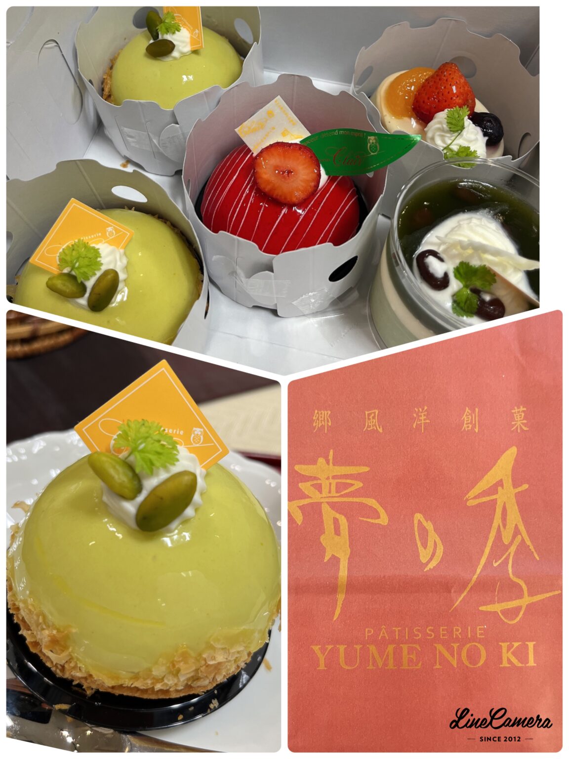 KIN42 無条件の愛を発揮できる、かに座の新月 - 【福岡県】マヤ暦講座を多数開催-田中真由美